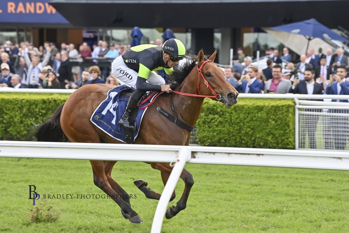 The Week Ahead Aug 21 - Proven Thoroughbreds