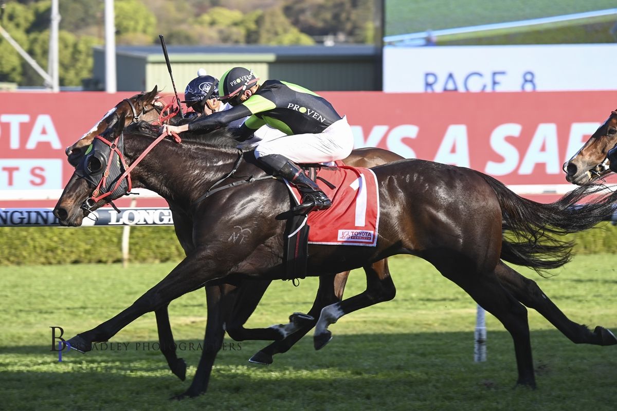 The Week Ahead Sep 4 - Proven Thoroughbreds