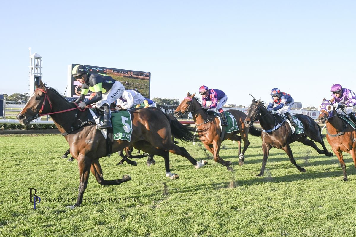 ICONIC goes back to back! - Proven Thoroughbreds