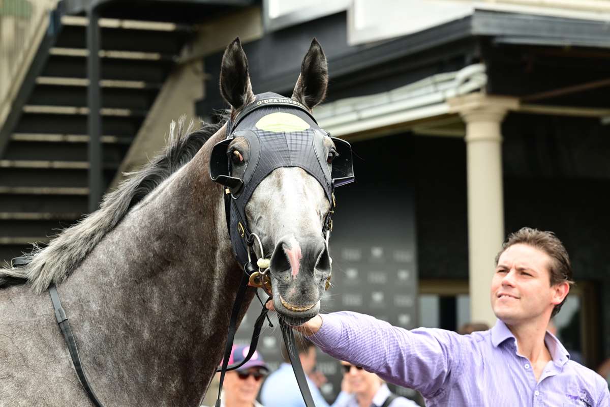 The Week Ahead Sep 25 - Proven Thoroughbreds