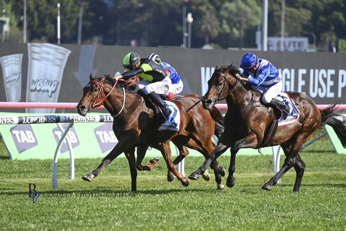 The Week Ahead Oct 2 - Proven Thoroughbreds