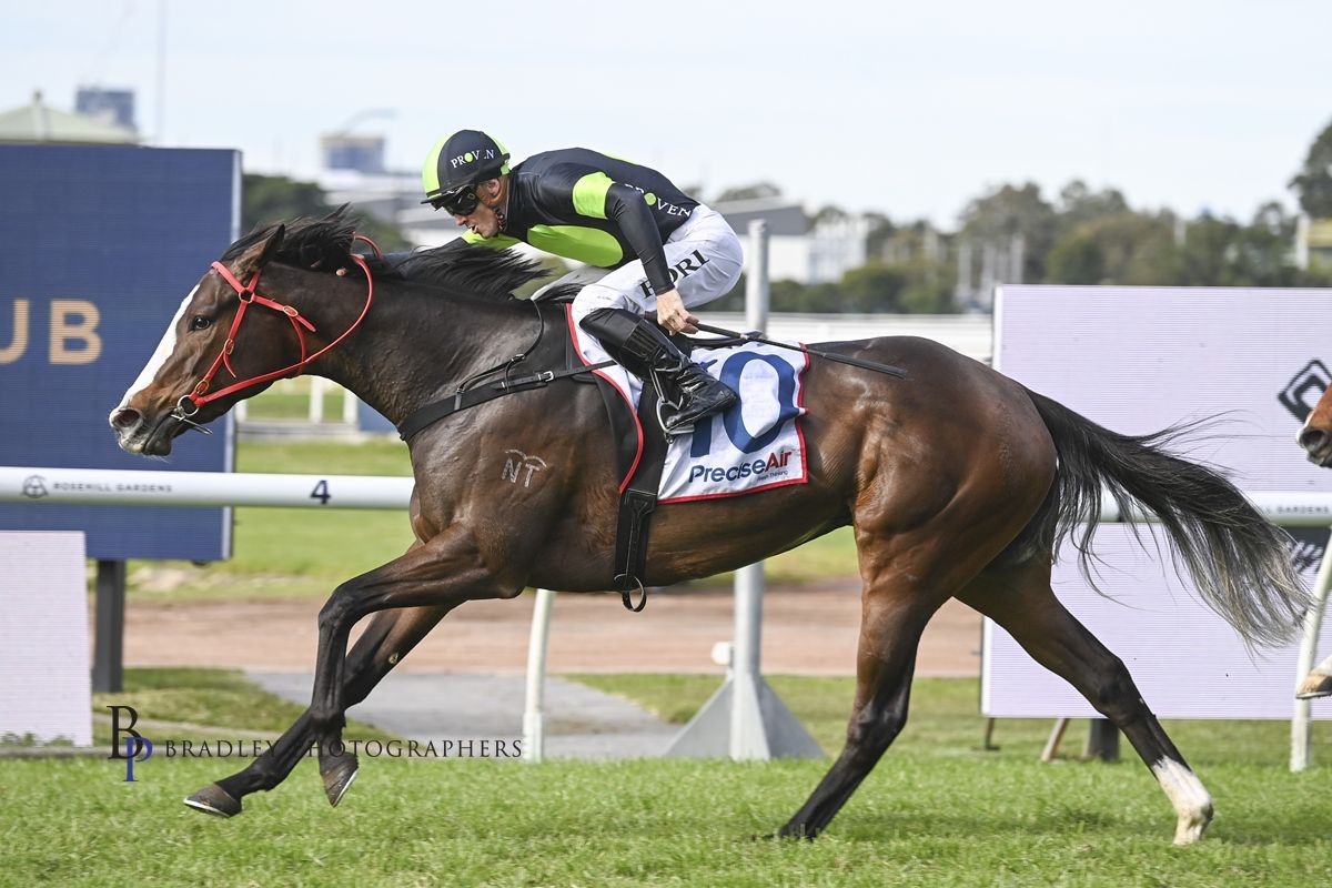 Proven Thoroughbreds :: Latest News