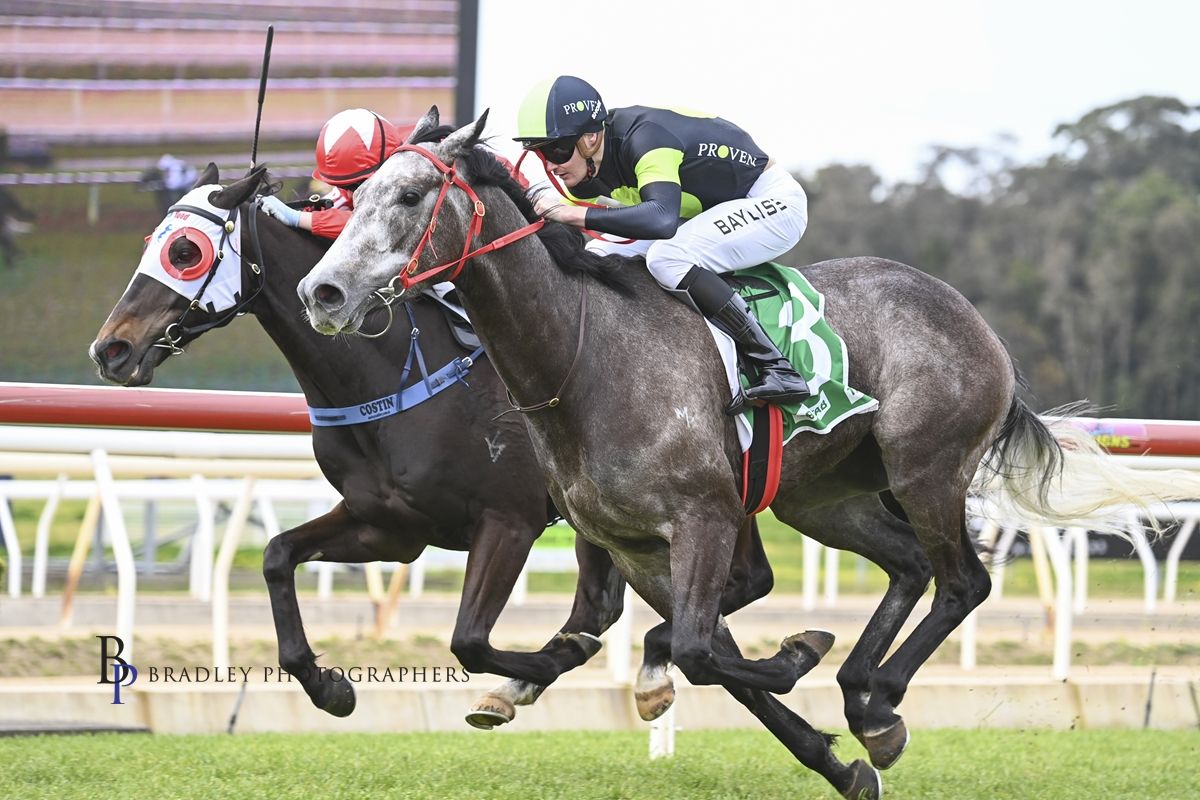 Proven Thoroughbreds :: Latest News