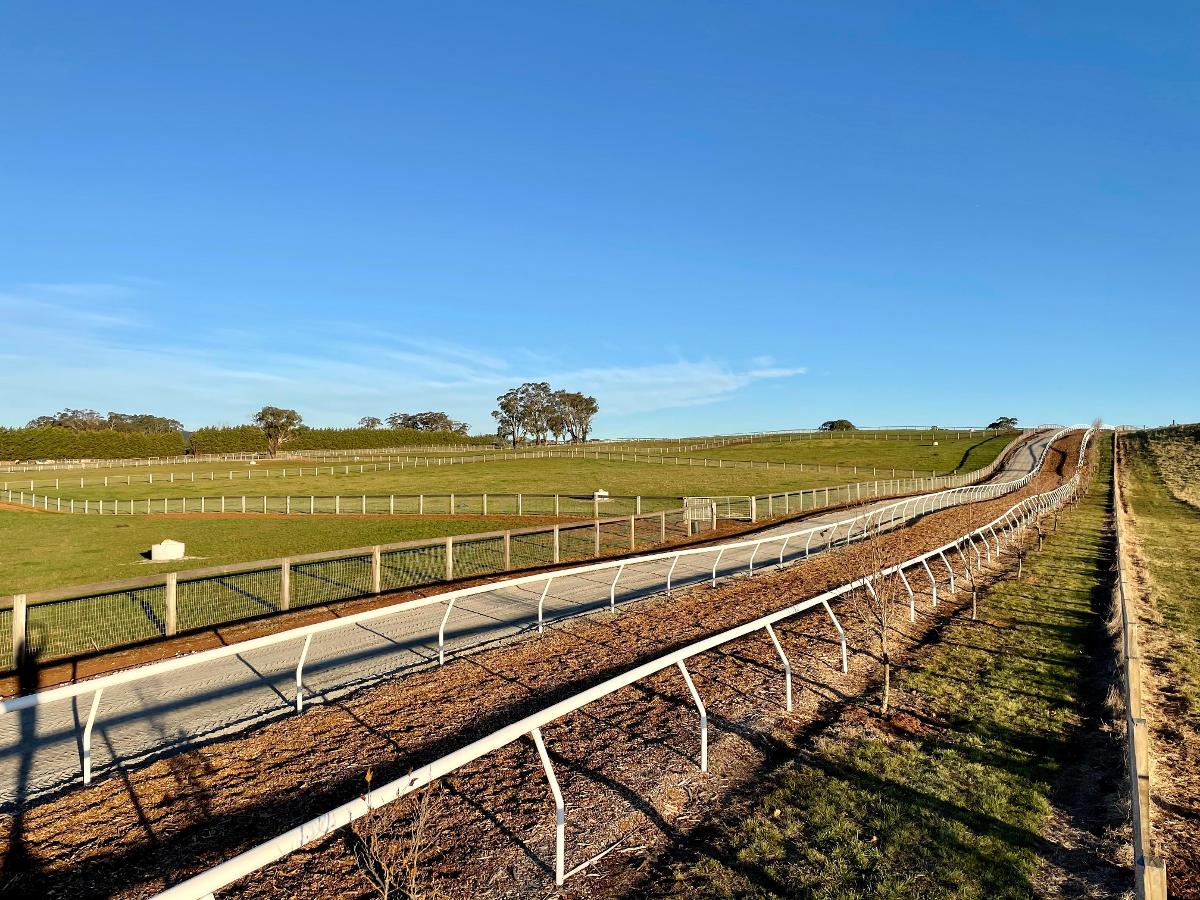 Open Day at Thenford Farm - Proven Thoroughbreds