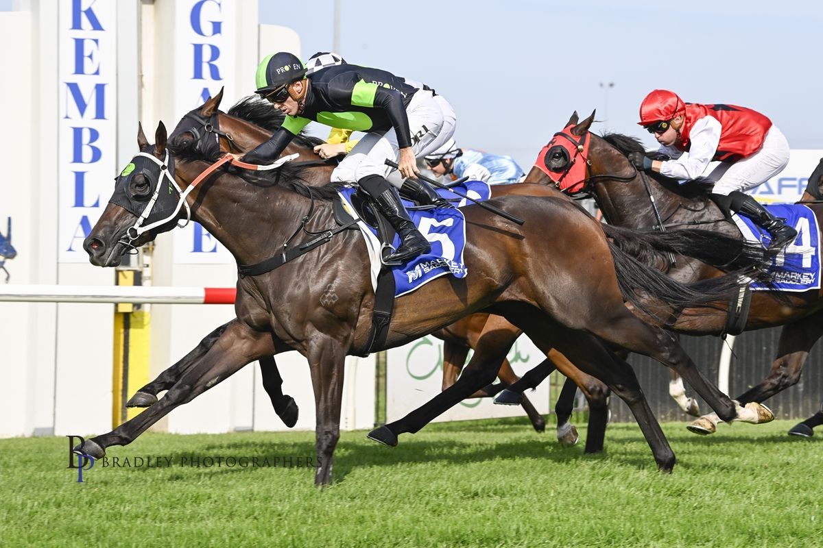 OTONO repeats! - Proven Thoroughbreds