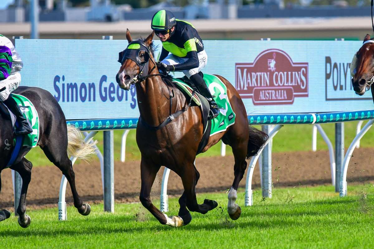 Proven Thoroughbreds :: Latest News