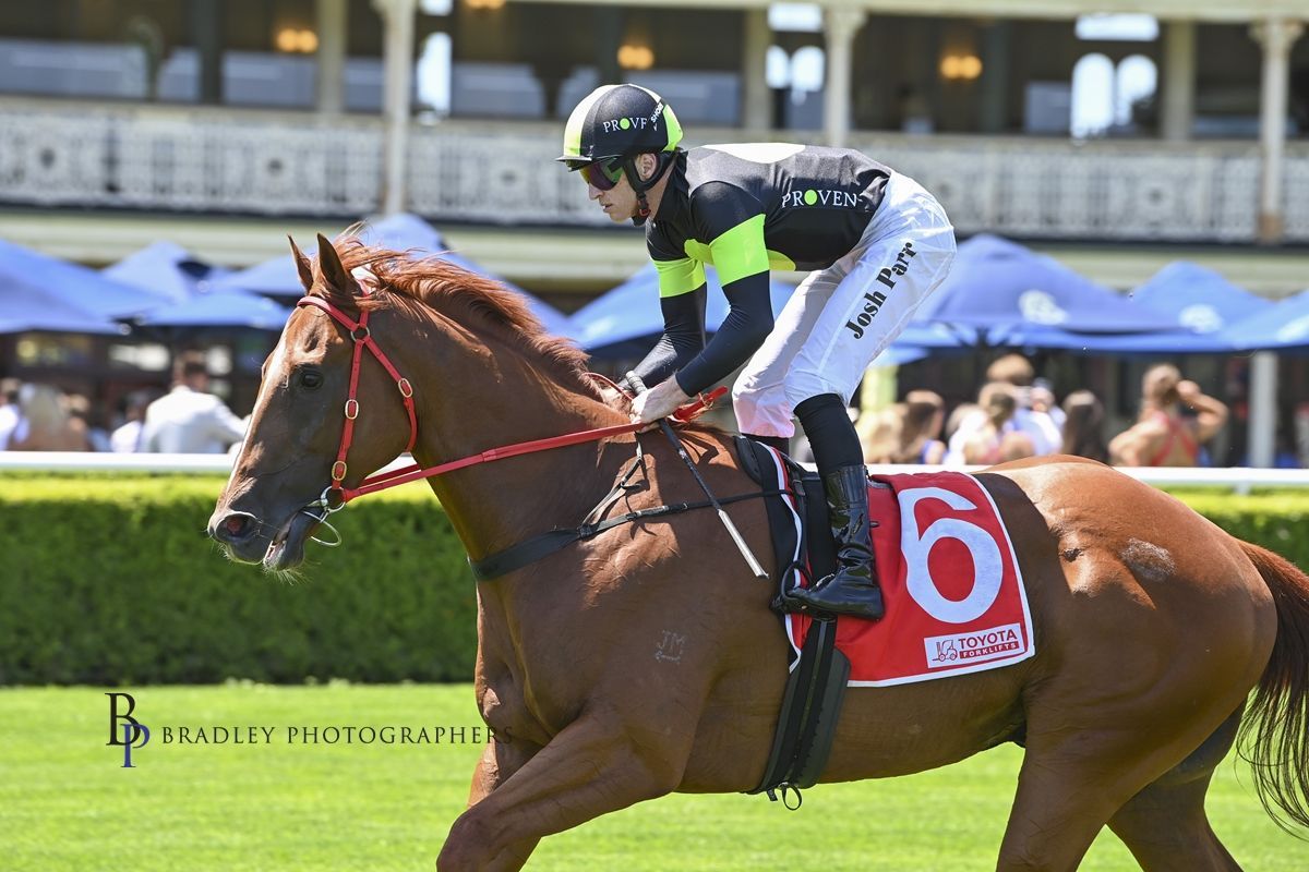 The Week Ahead May 7 - Proven Thoroughbreds