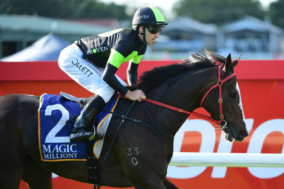 Rain, rain, don't go away! - Proven Thoroughbreds