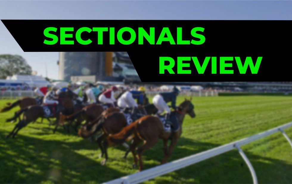 Proven Thoroughbreds • Racehorse Syndication