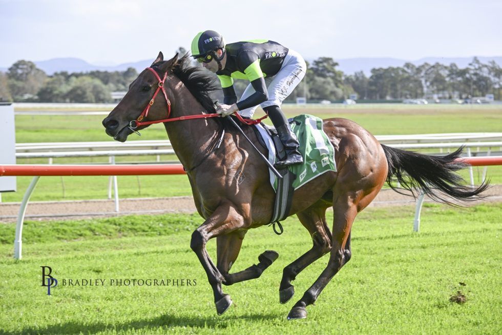 A BLUE blitz! - Proven Thoroughbreds