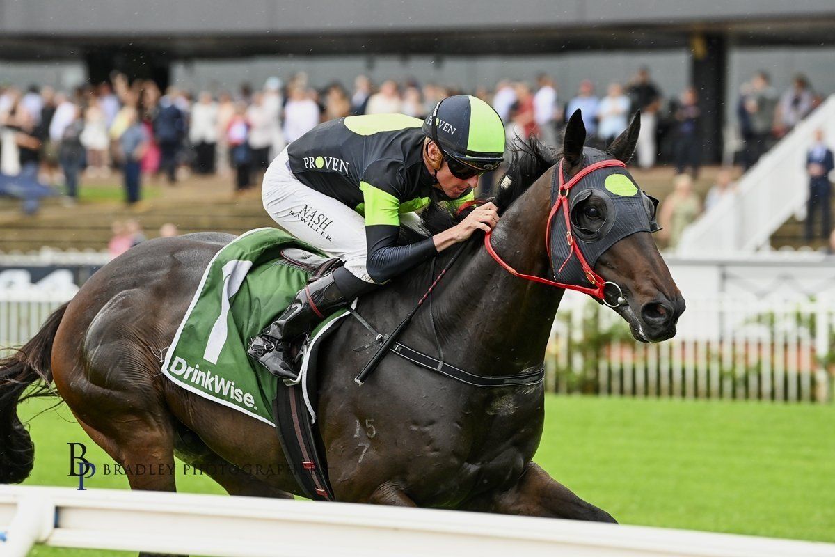 Proven Thoroughbreds :: Latest News