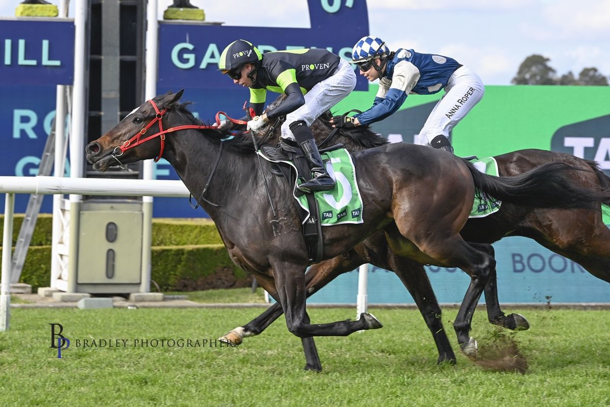 The KING redeems! - Proven Thoroughbreds