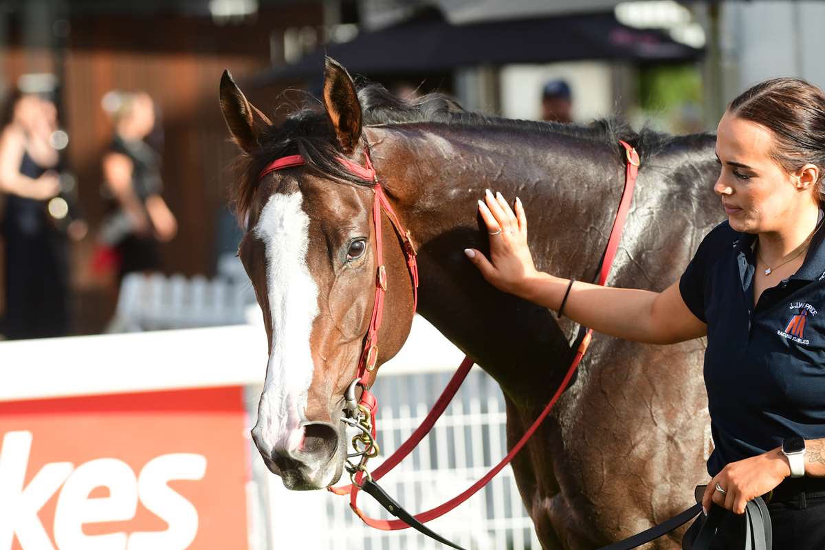The Week Ahead Jul 9 - Proven Thoroughbreds