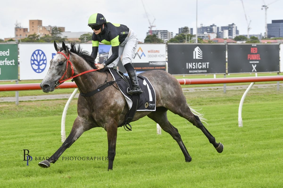 The Week Ahead Aug 20 - Proven Thoroughbreds