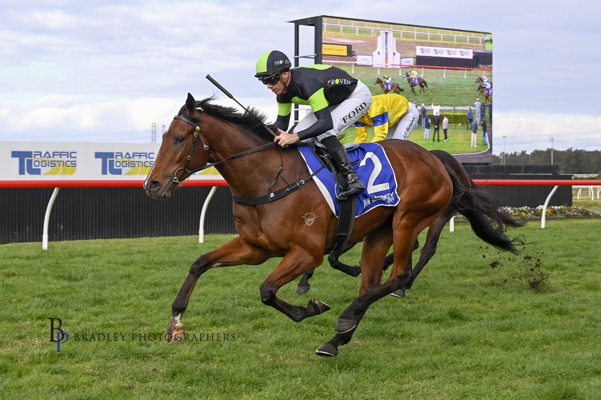 The Week Ahead Aug 27 - Proven Thoroughbreds