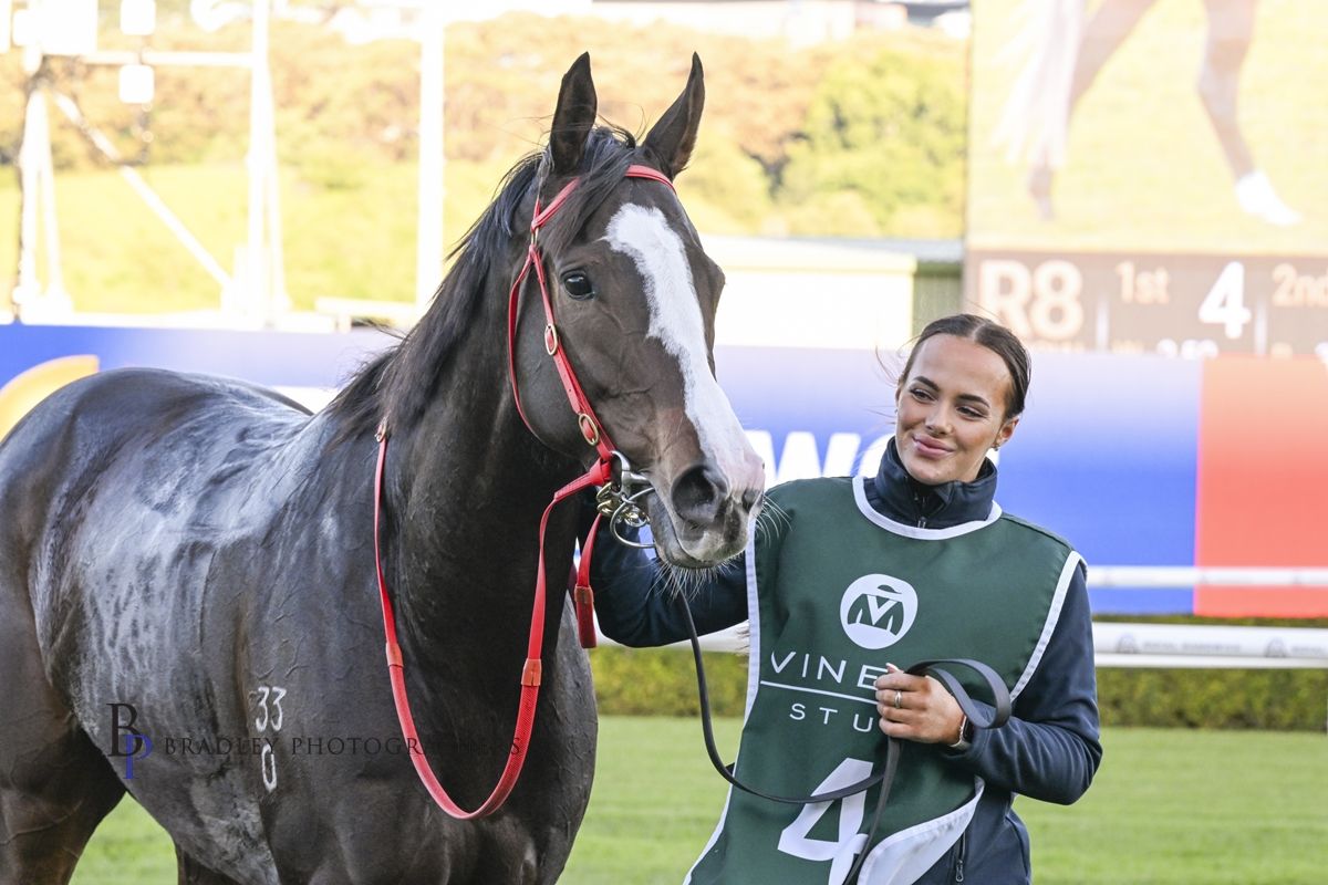 The Week Ahead Sep 3 - Proven Thoroughbreds