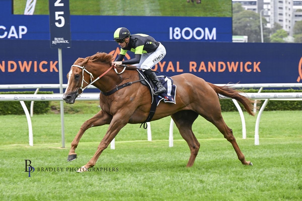 The Week Ahead Sep 24 - Proven Thoroughbreds