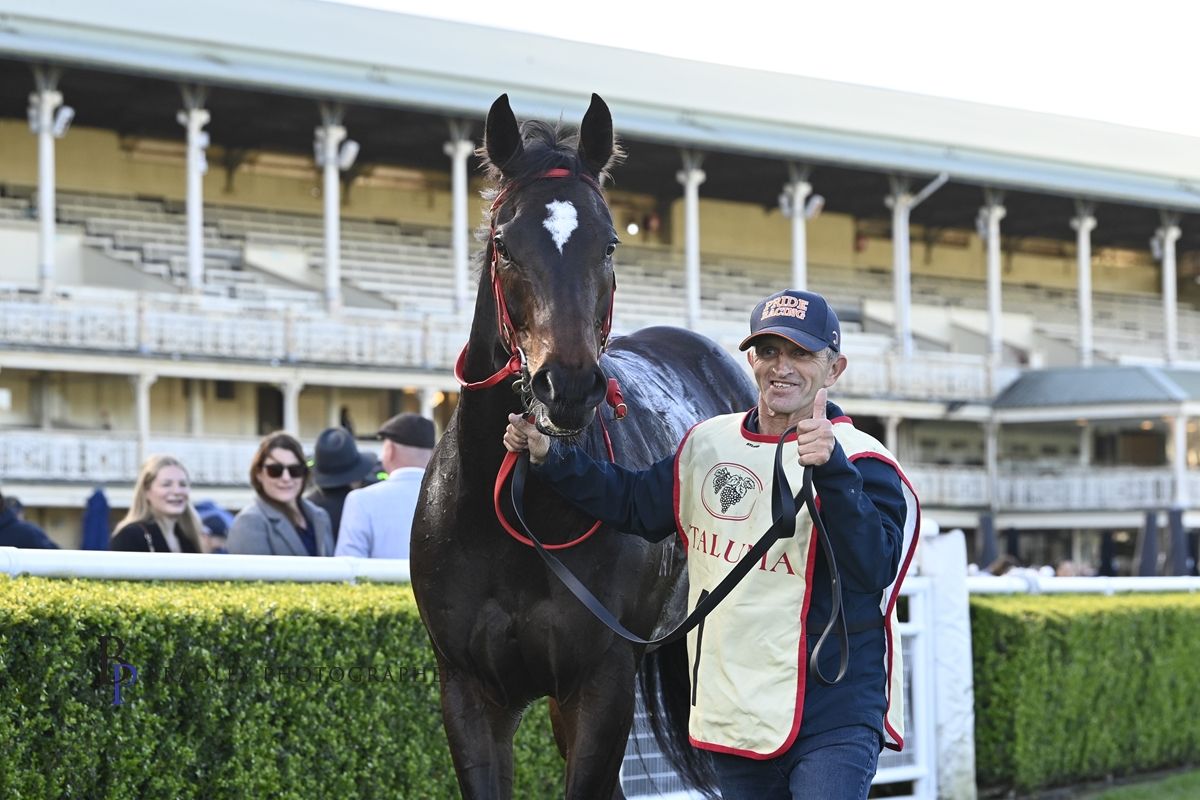 The Week Ahead Nov 26 - Proven Thoroughbreds