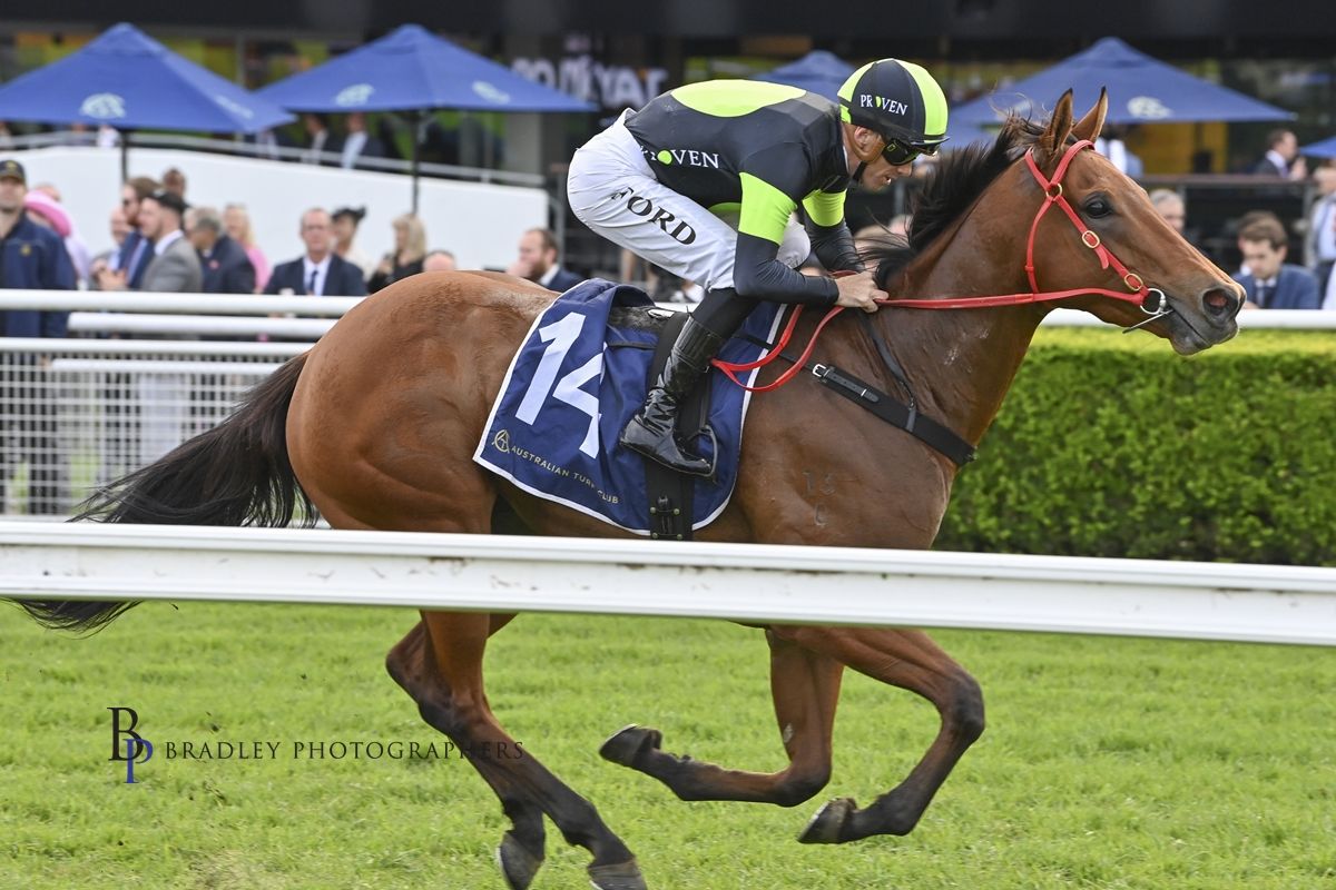The Week Ahead Dec 11 - Proven Thoroughbreds