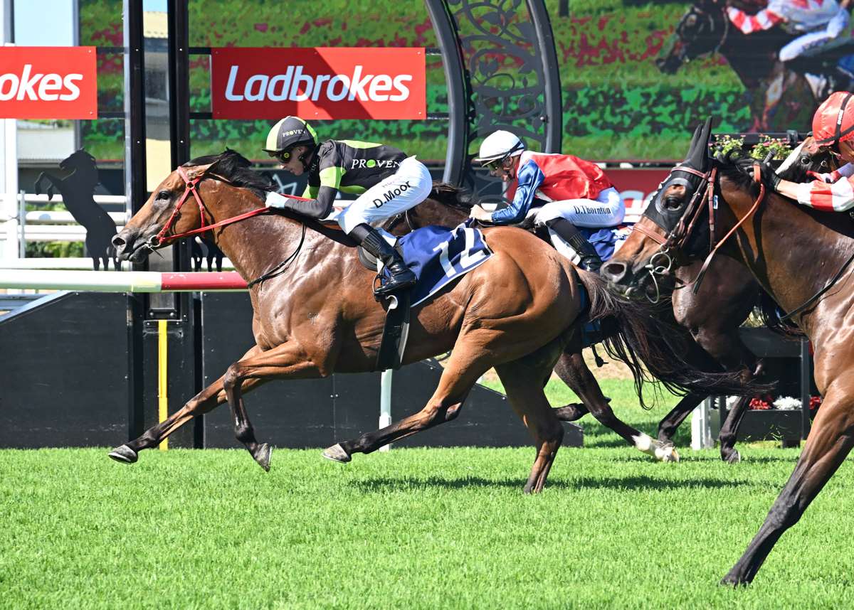 The CLOUDS part! - Proven Thoroughbreds