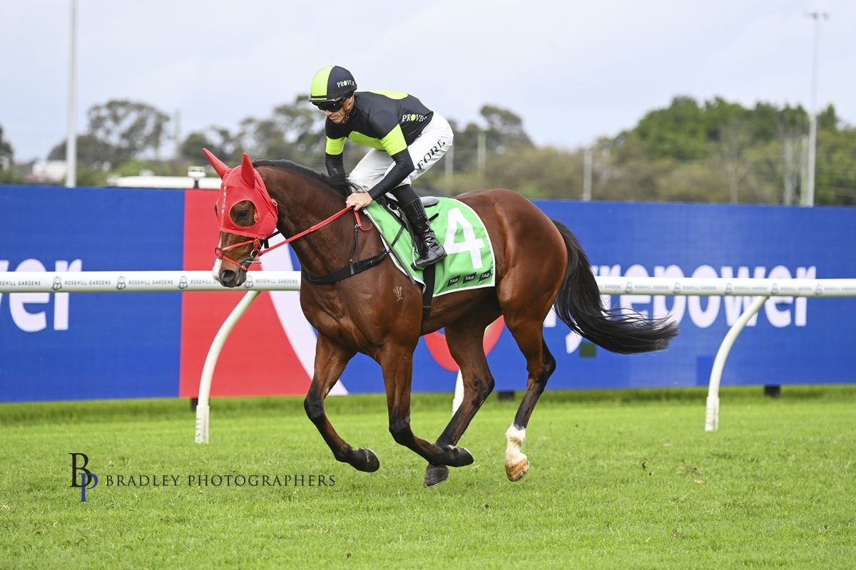 The Week Ahead Dec 17 - Proven Thoroughbreds