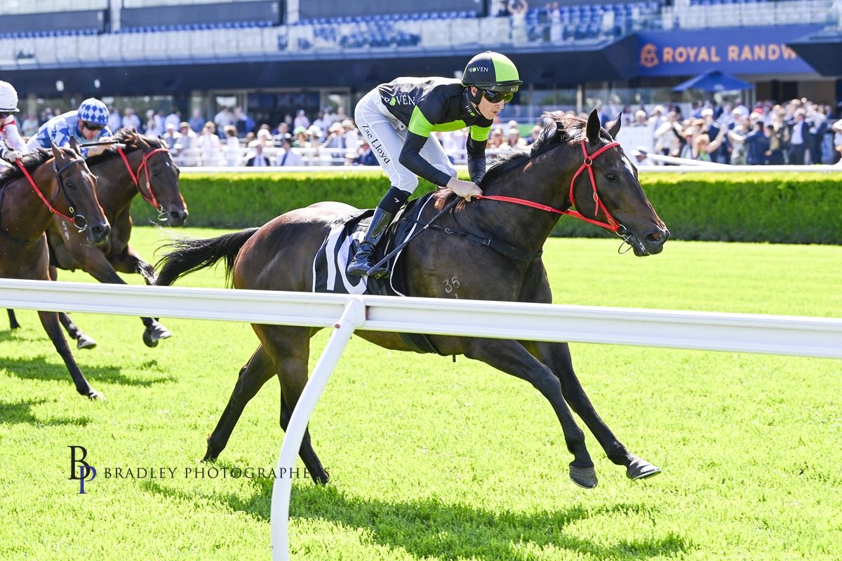 The Week Ahead Jan 1 - Proven Thoroughbreds