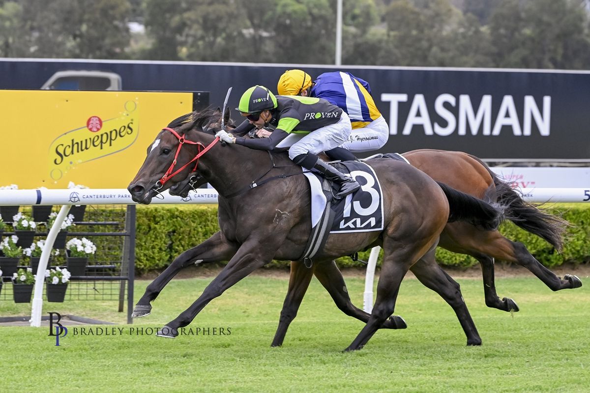 The Happiest New Year! - Proven Thoroughbreds