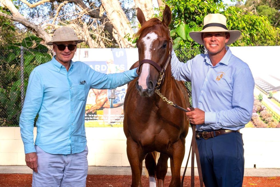 2026 Magic Millions - The select 7! - Proven Thoroughbreds