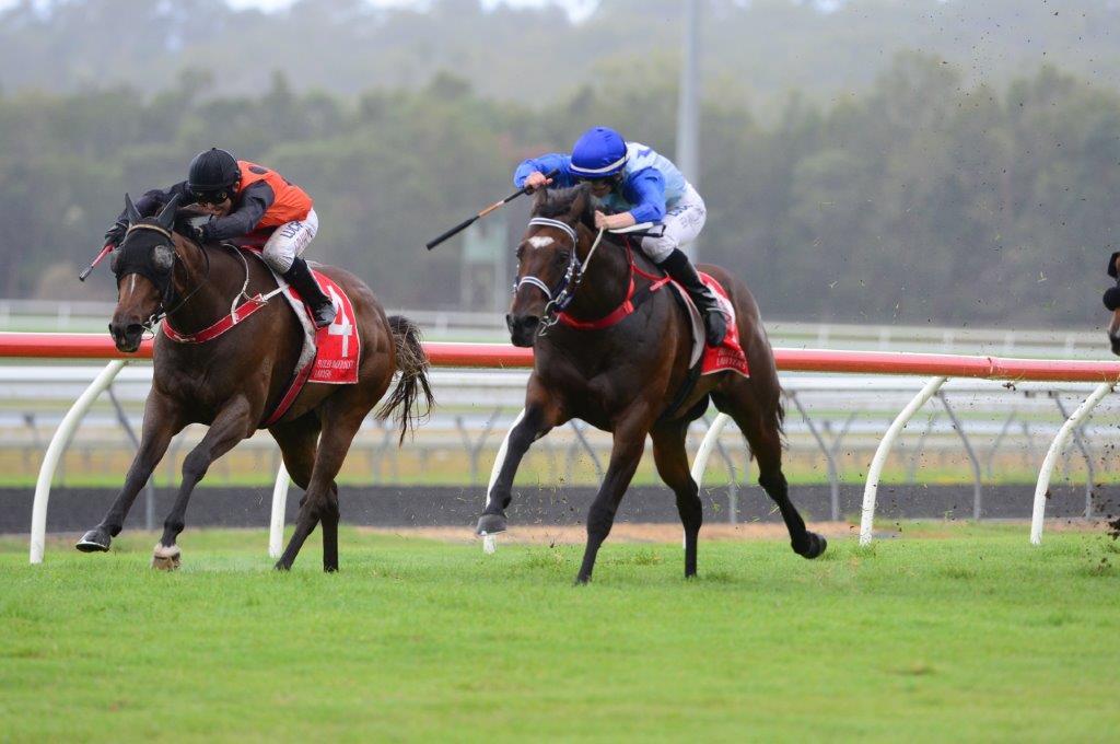 IRISH TUNES UP NICELY! - SYMONS LAXON RACING