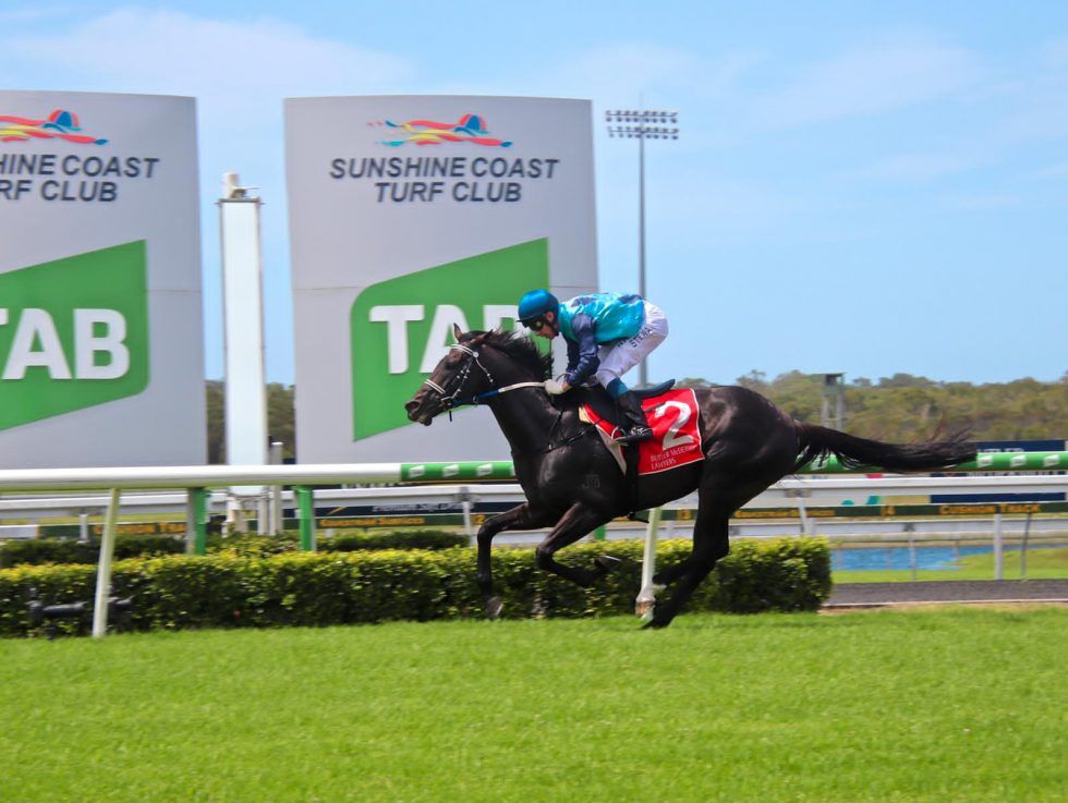 DAPPER’S BACK! - SYMONS LAXON RACING