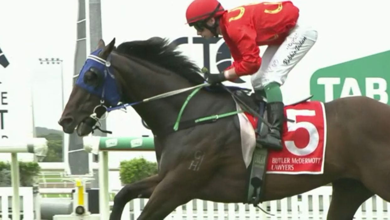 Racehorse Trainers | John Symons and Sheila Laxon