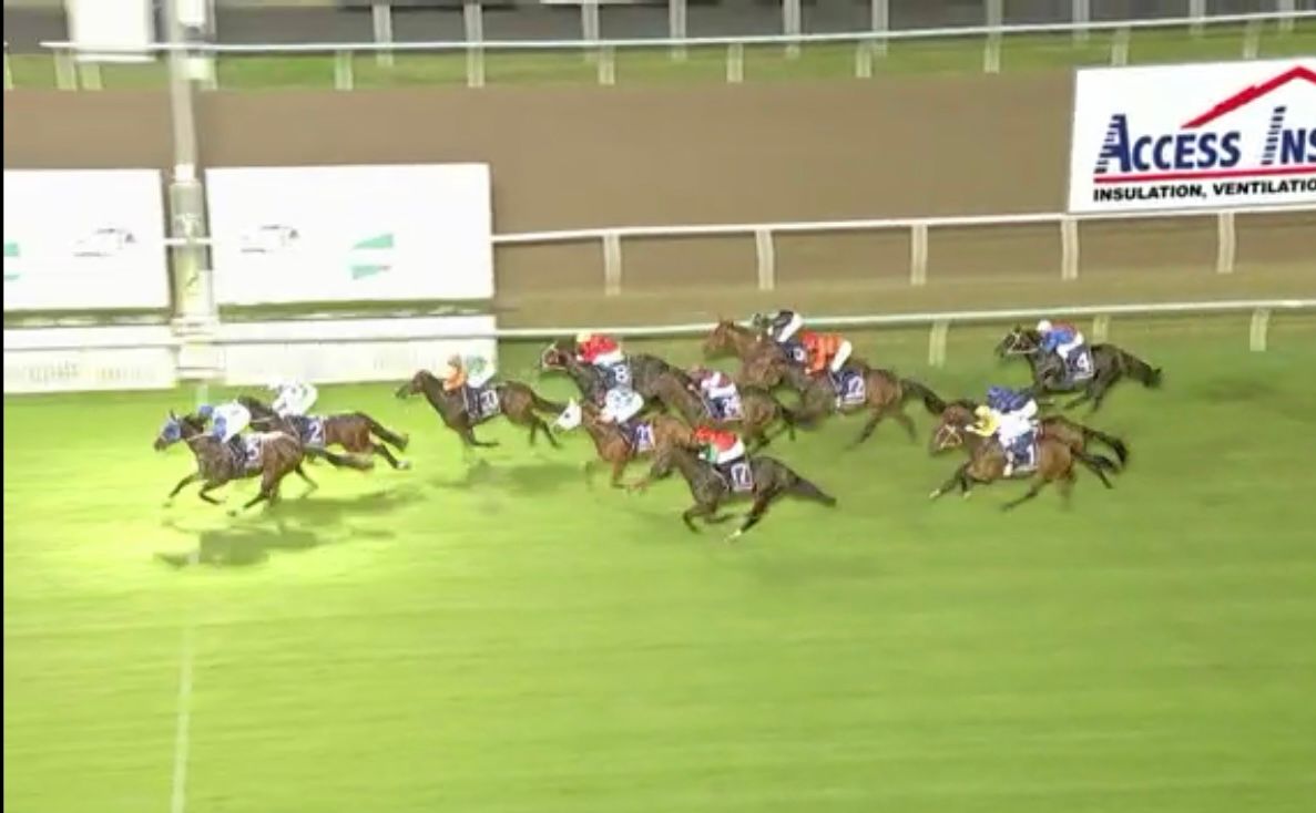 Racehorse Trainers | John Symons and Sheila Laxon