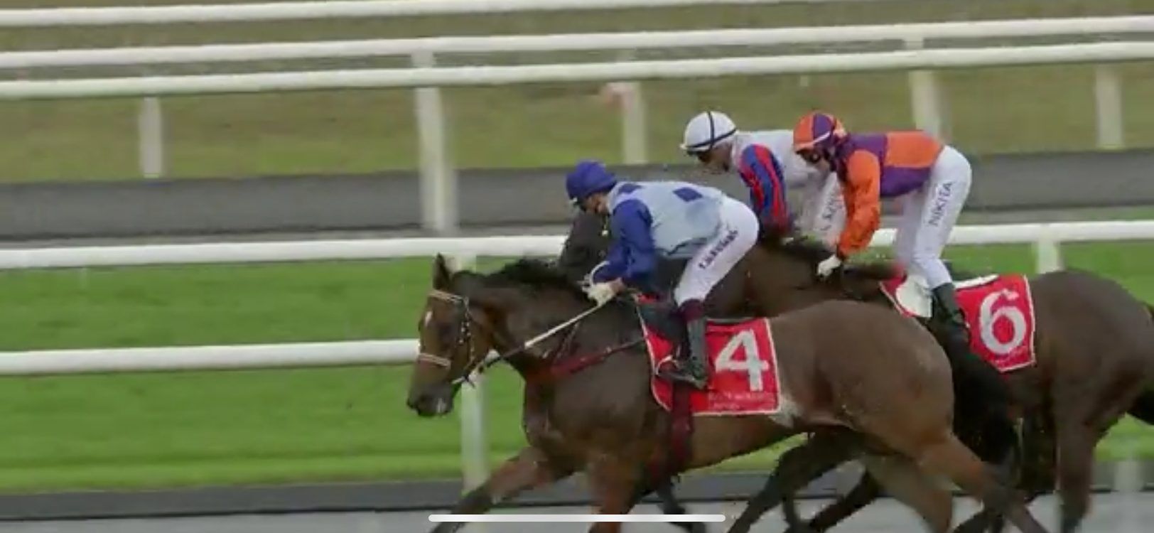 Racehorse Trainers | John Symons and Sheila Laxon