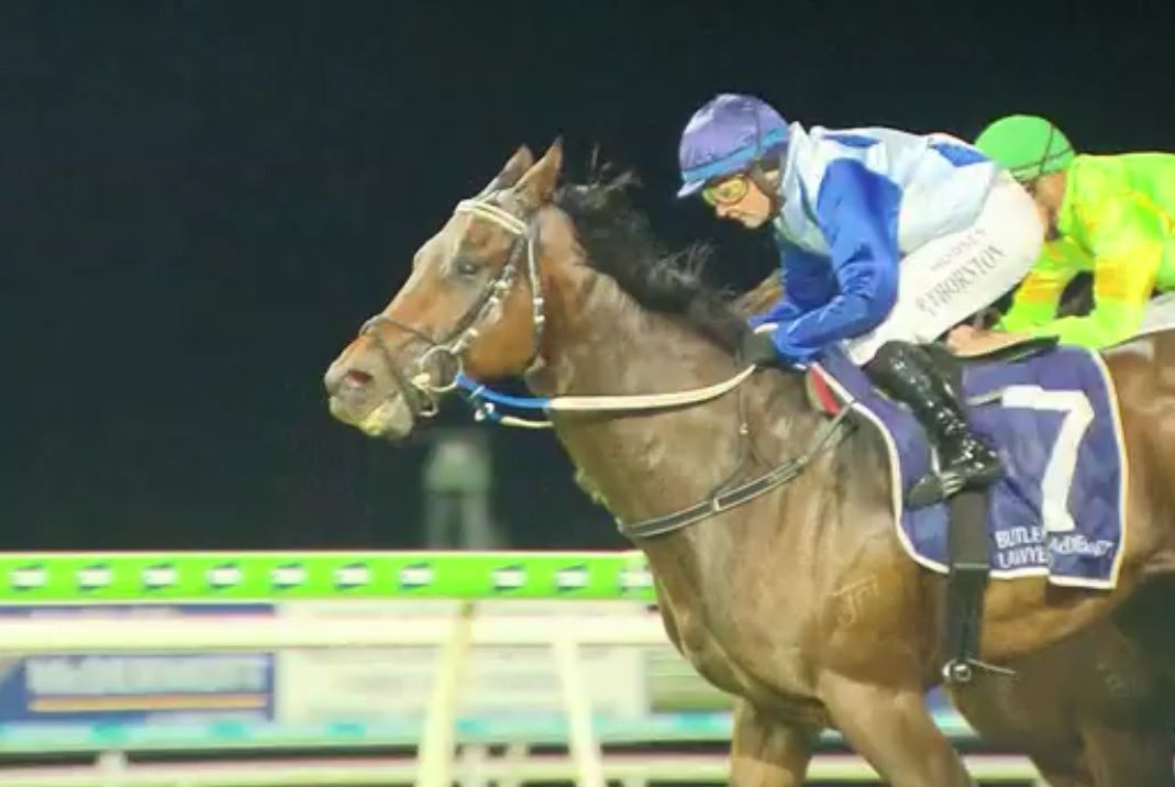 Racehorse Trainers | John Symons and Sheila Laxon