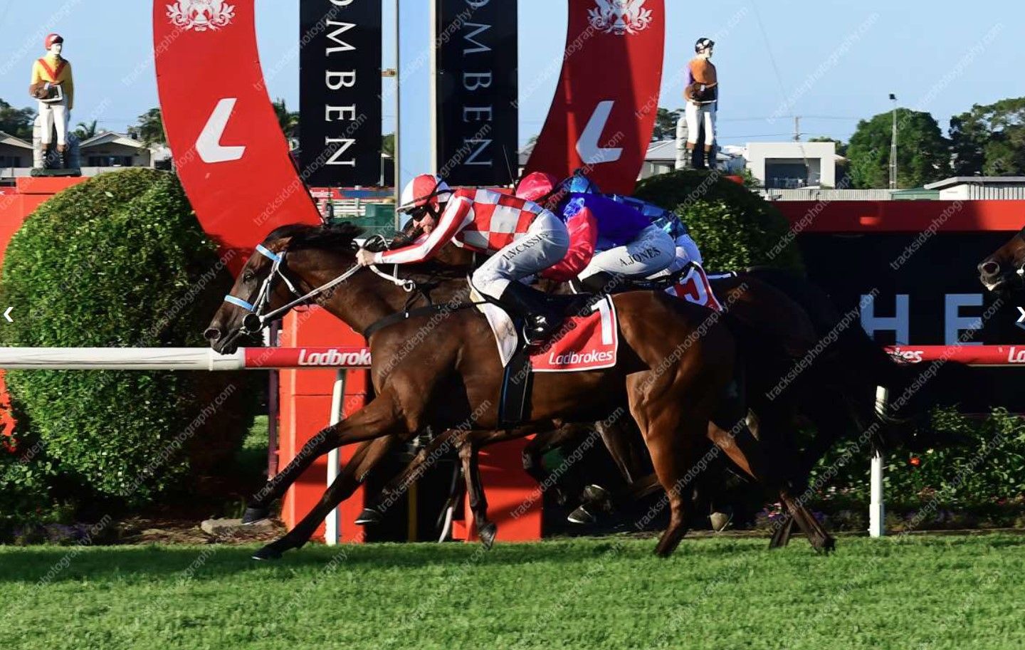 Australian Horse Trainer - Louise White Racing