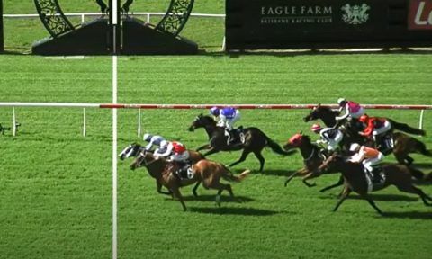 Kitty scores much deserved Metro win at Eagle Farm - Louise White Racing