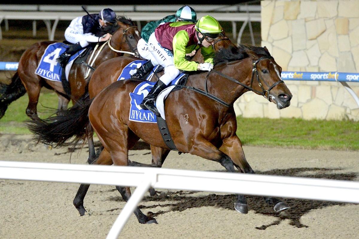 Angel Eight Sweeping Win From Back - Ken King Thoroughbreds