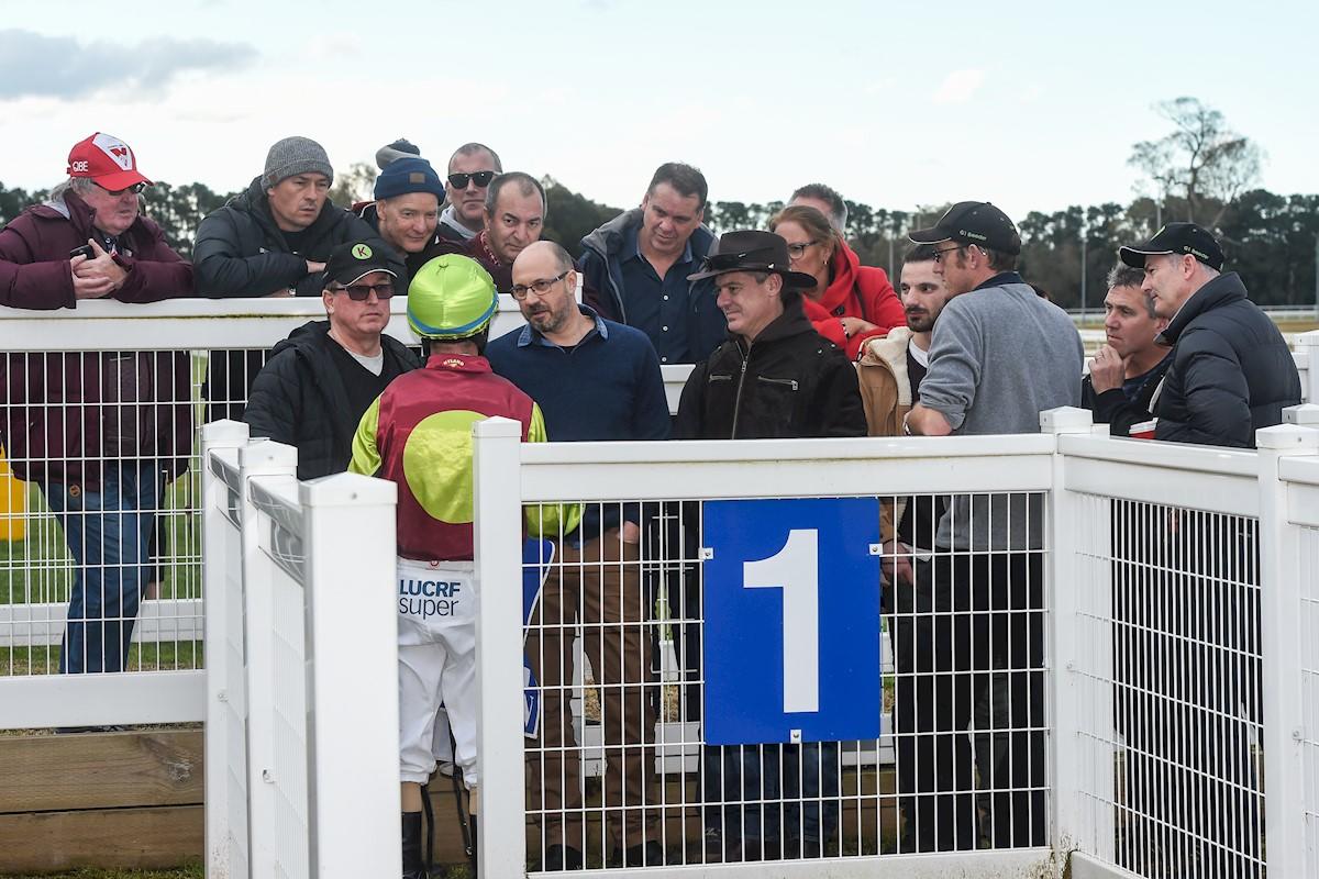 Bons Away Dominant Performance - Ken King Thoroughbreds