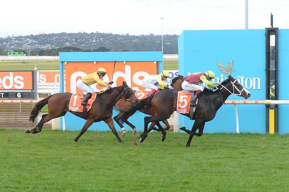 CRIMSON ACE A STELLAR PERFORMANCE - Ken King Thoroughbreds