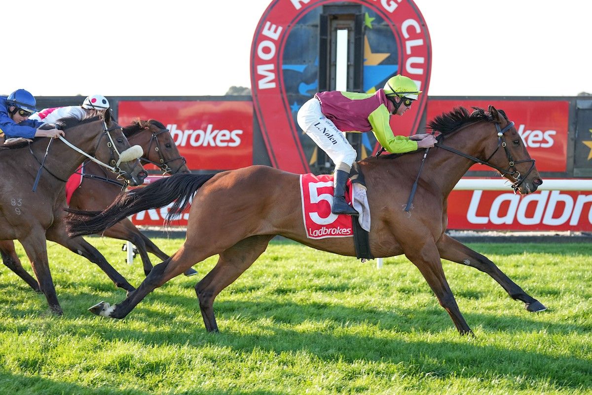 VILLA SEVENTNINE WINS BM64 MOE - Ken King Thoroughbreds