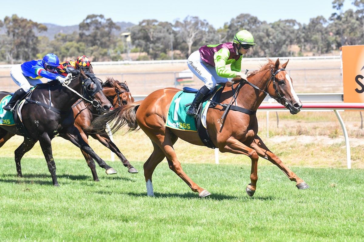 BON'S YOUR BACK BACK TO BACK - Ken King Thoroughbreds