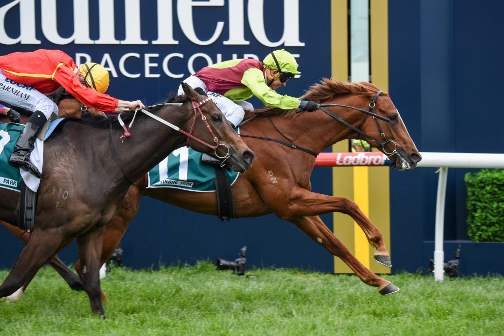 BON AURUM'S DOMINATE DARWIN - Ken King Thoroughbreds