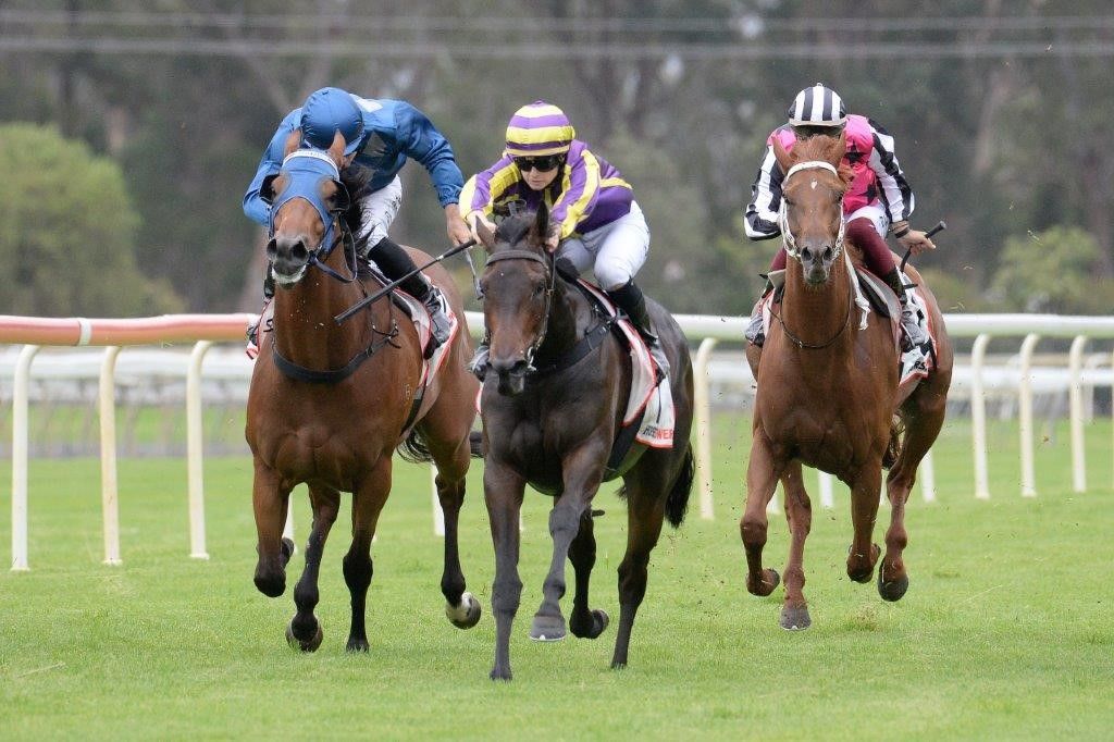 A Dazzling performance at Taree - Tracey Bartley Racing