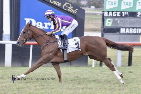 Sapphires Son returns to the Winners Circle - Tracey Bartley Racing