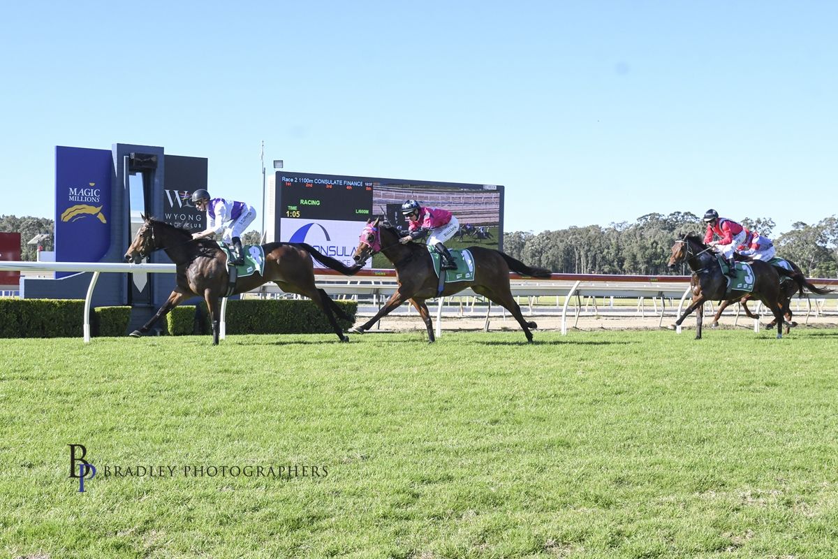 Patience pays off with Stonesthrow - Tracey Bartley Racing