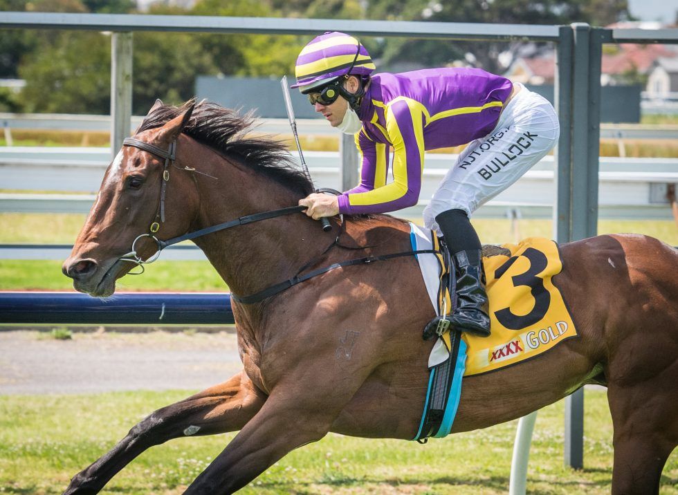 Irish Kisses dominates on return - Tracey Bartley Racing