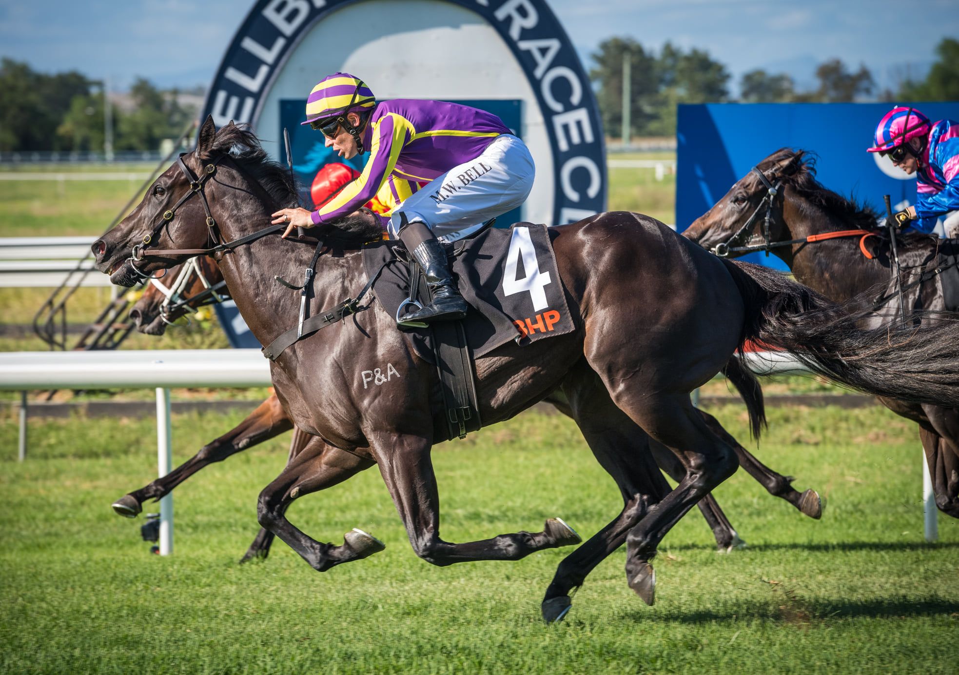 Mabel returns a Winner - Tracey Bartley Racing