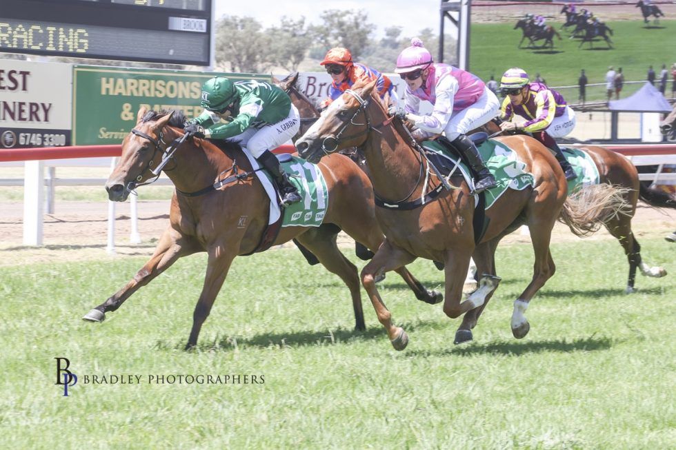 Ventus Secures the Double - Tracey Bartley Racing