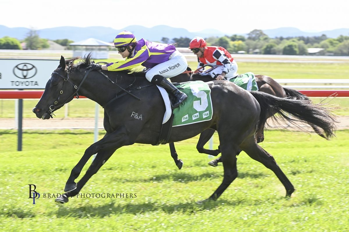 Patience gets Mabel home - Tracey Bartley Racing