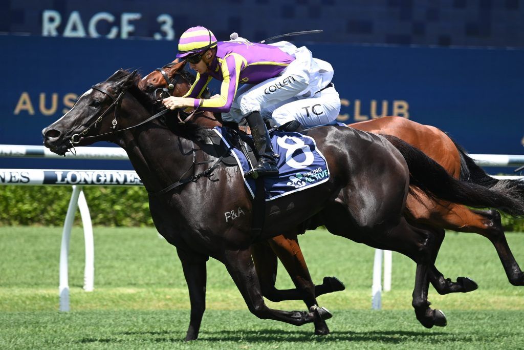 Mabel wins the Midway - Tracey Bartley Racing